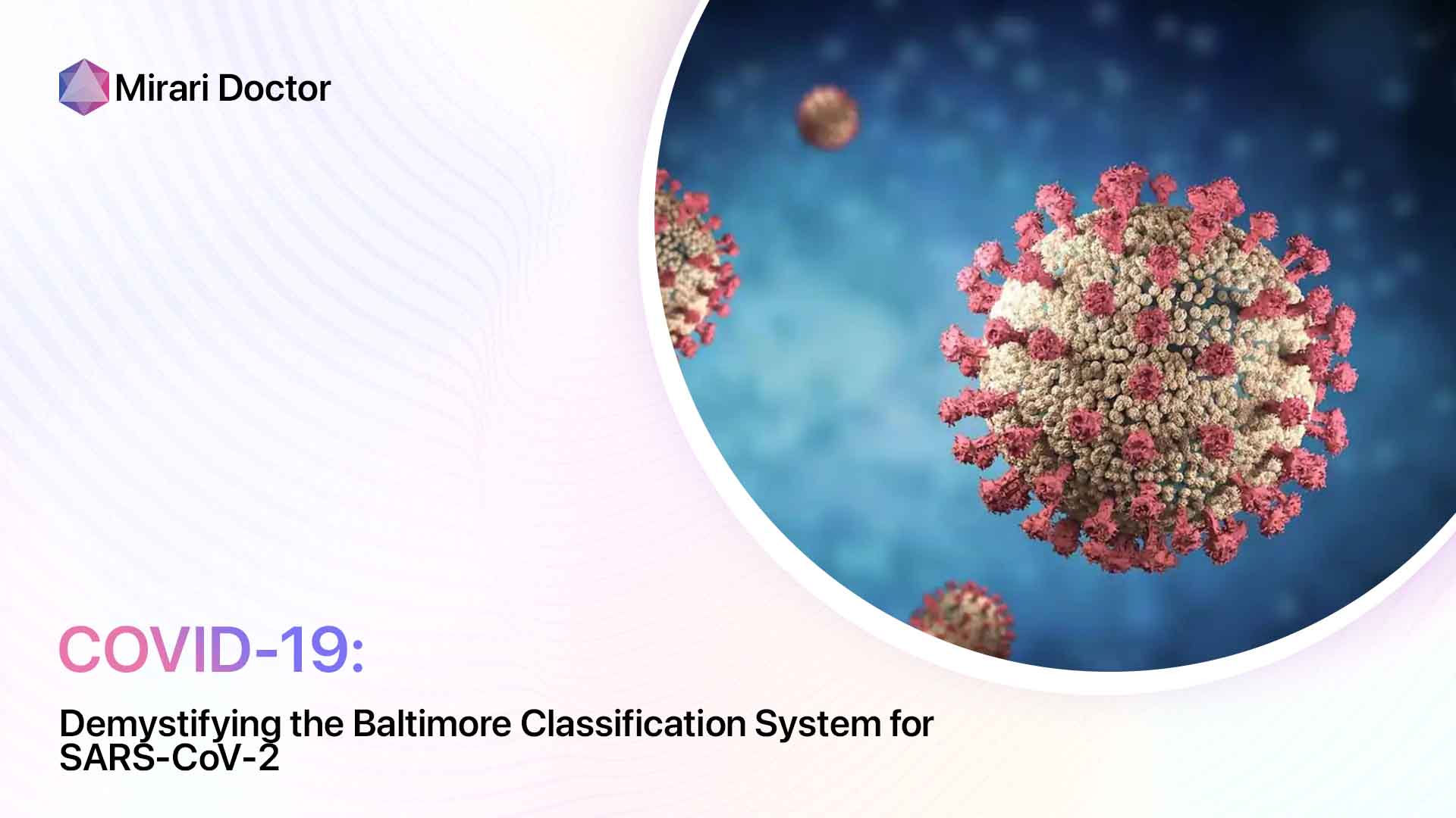 Demystifying The Baltimore Classification System For Sars Cov 2 9876